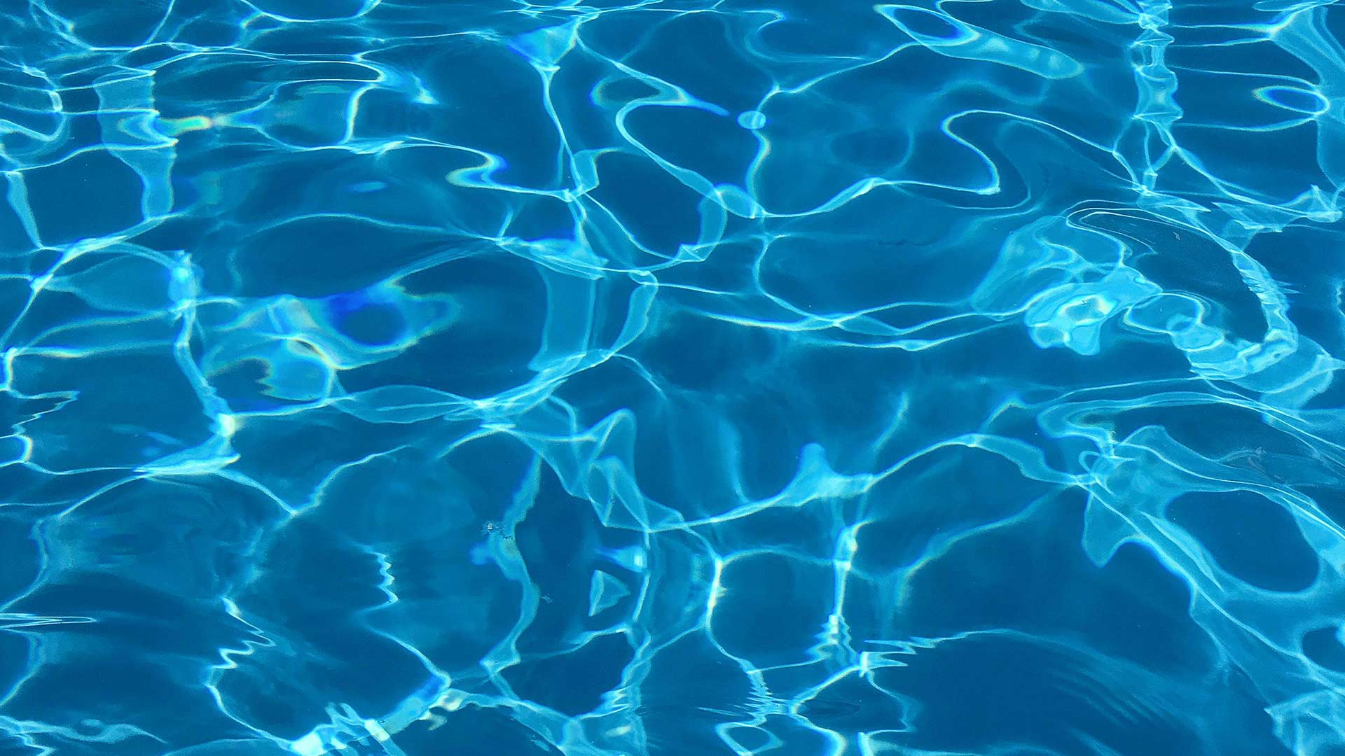 Songbird Acoustic Panels for Swimming Pools
